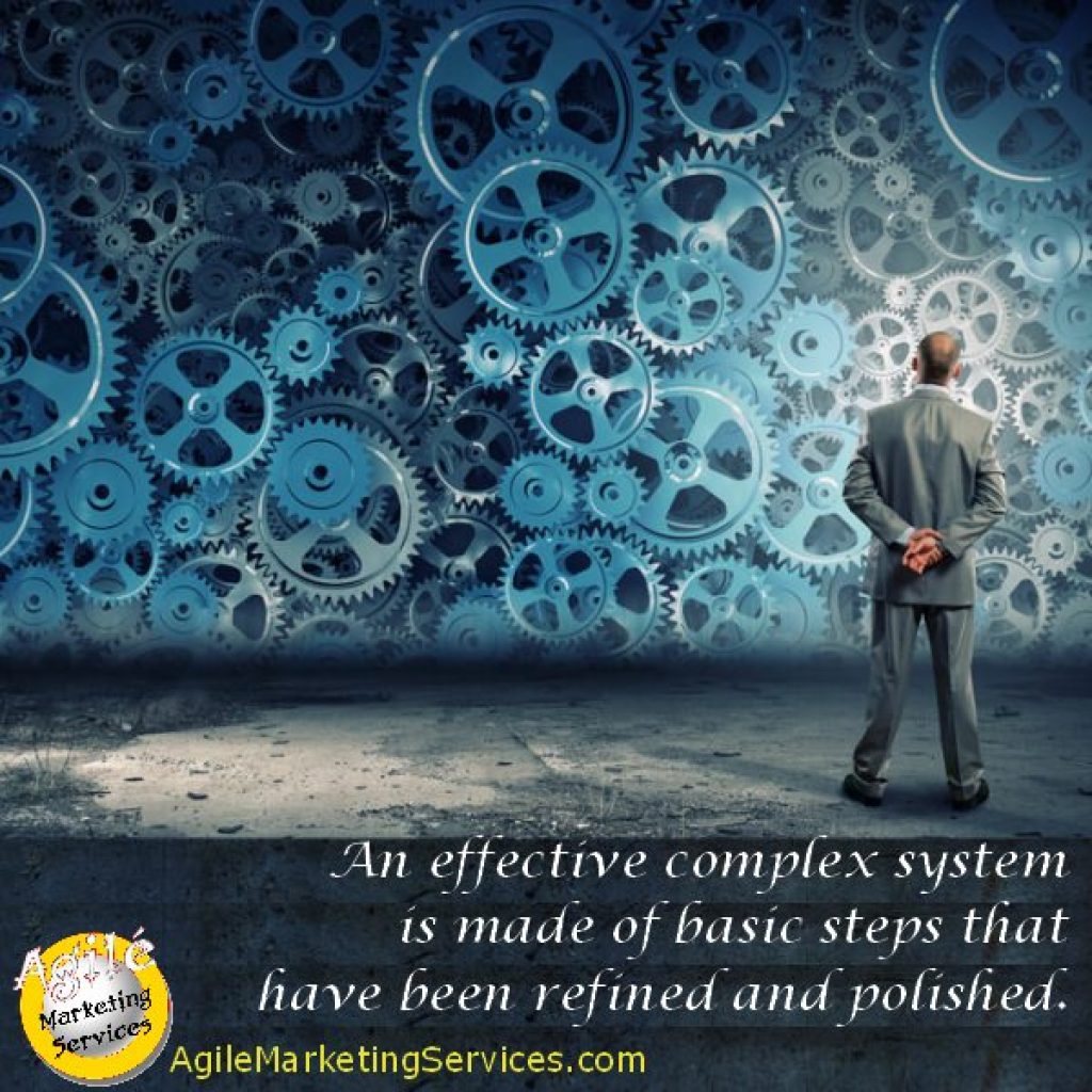 Graphic - Effective Complex System | Agile' Marketing Services